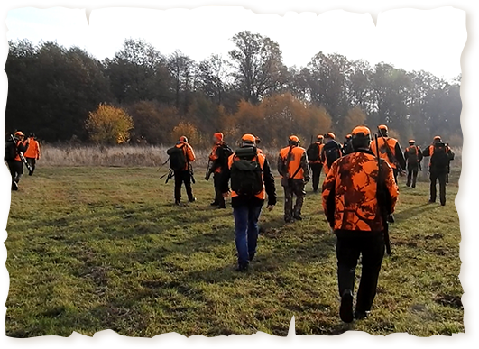 Fox Tail Hunting - Hunting agency and outfitters